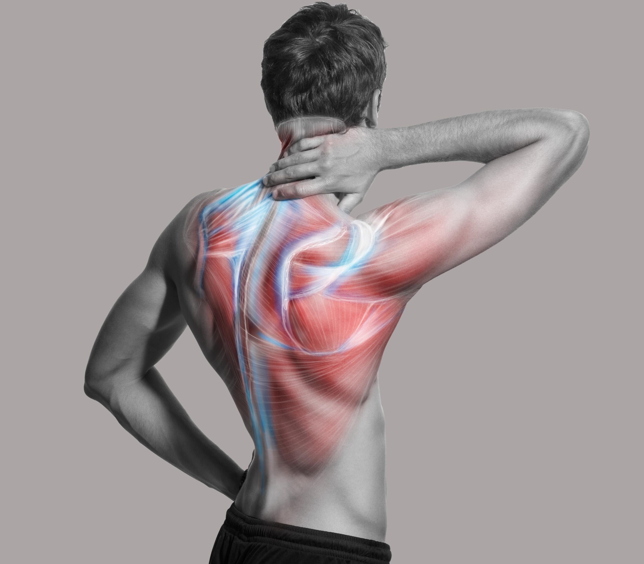 Scenar Therapy Treatments for body and face – CHICHESTER ACTIVE BEAUTY